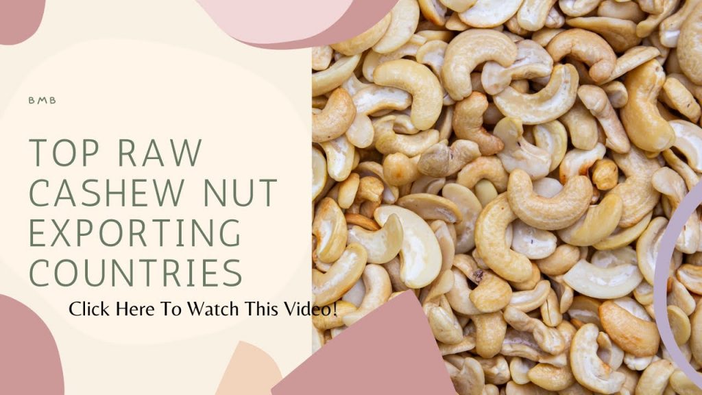 Top Cashew Exporting Countries - BigManBusiness