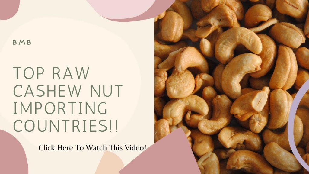Top 10 Cashew Nut Top Importing Countries - BigManBusiness