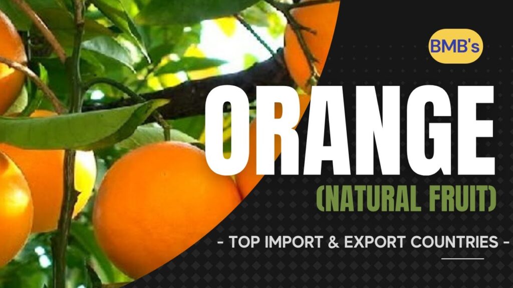 Orange Top Producing, Importing And Exporting Countries - BigManBusiness