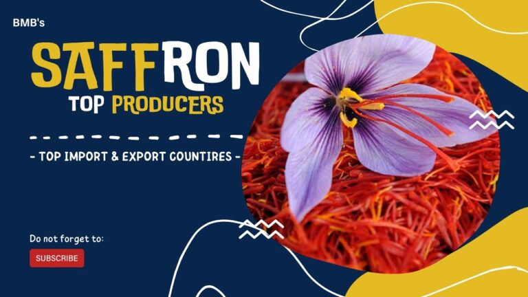 Top Saffron Importing And Exporting Countries - BigManBusiness
