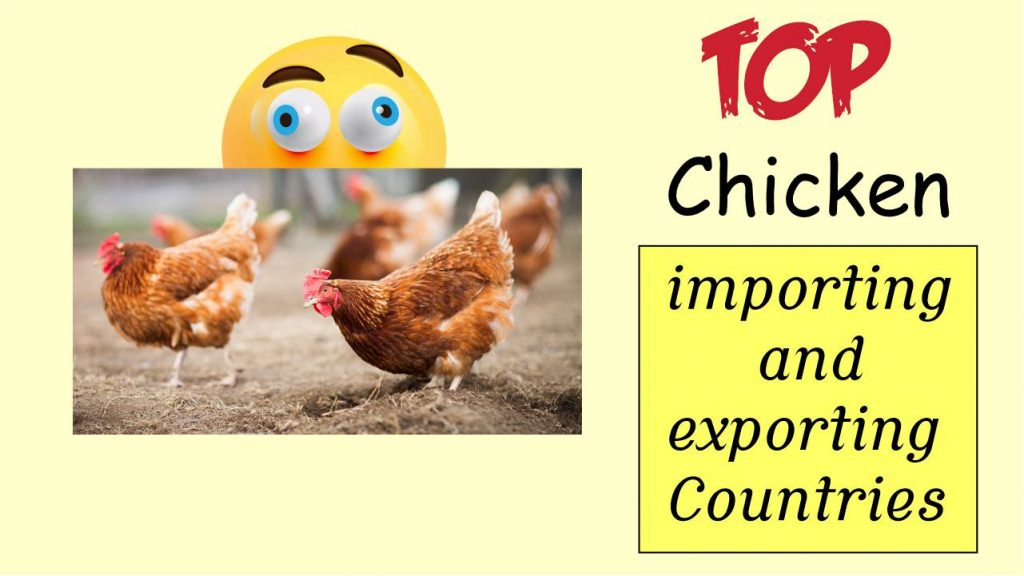 Top Chicken Exporting And Importing Countries - BigManBusiness
